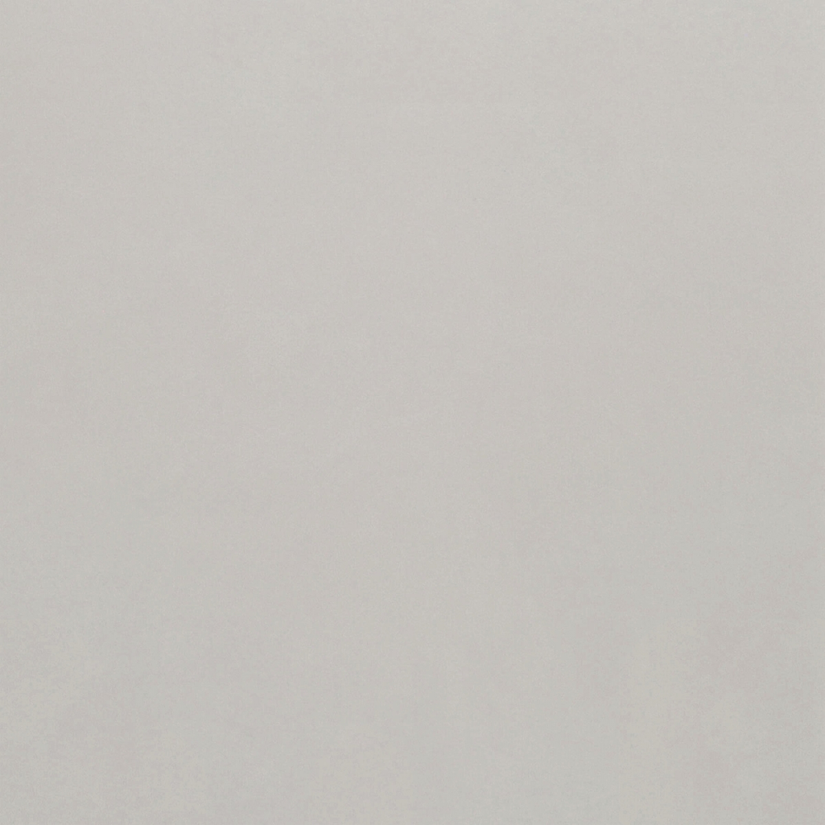 Plaster Concrete Dove Grey - AST 5001 60x120 MATT 9 mm